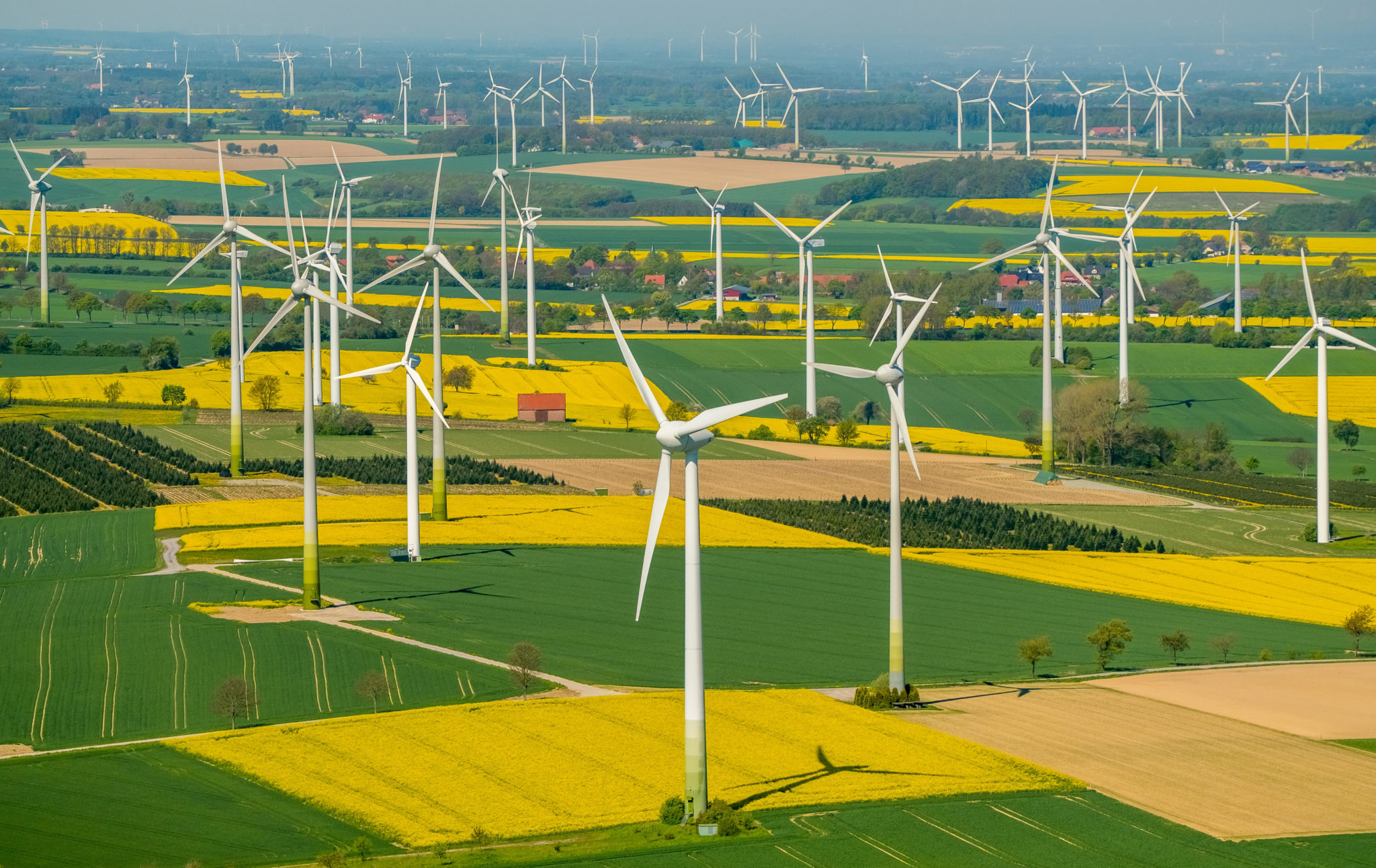 Rails, Wind. Ukraine. Invest in Wild West – The Tribune