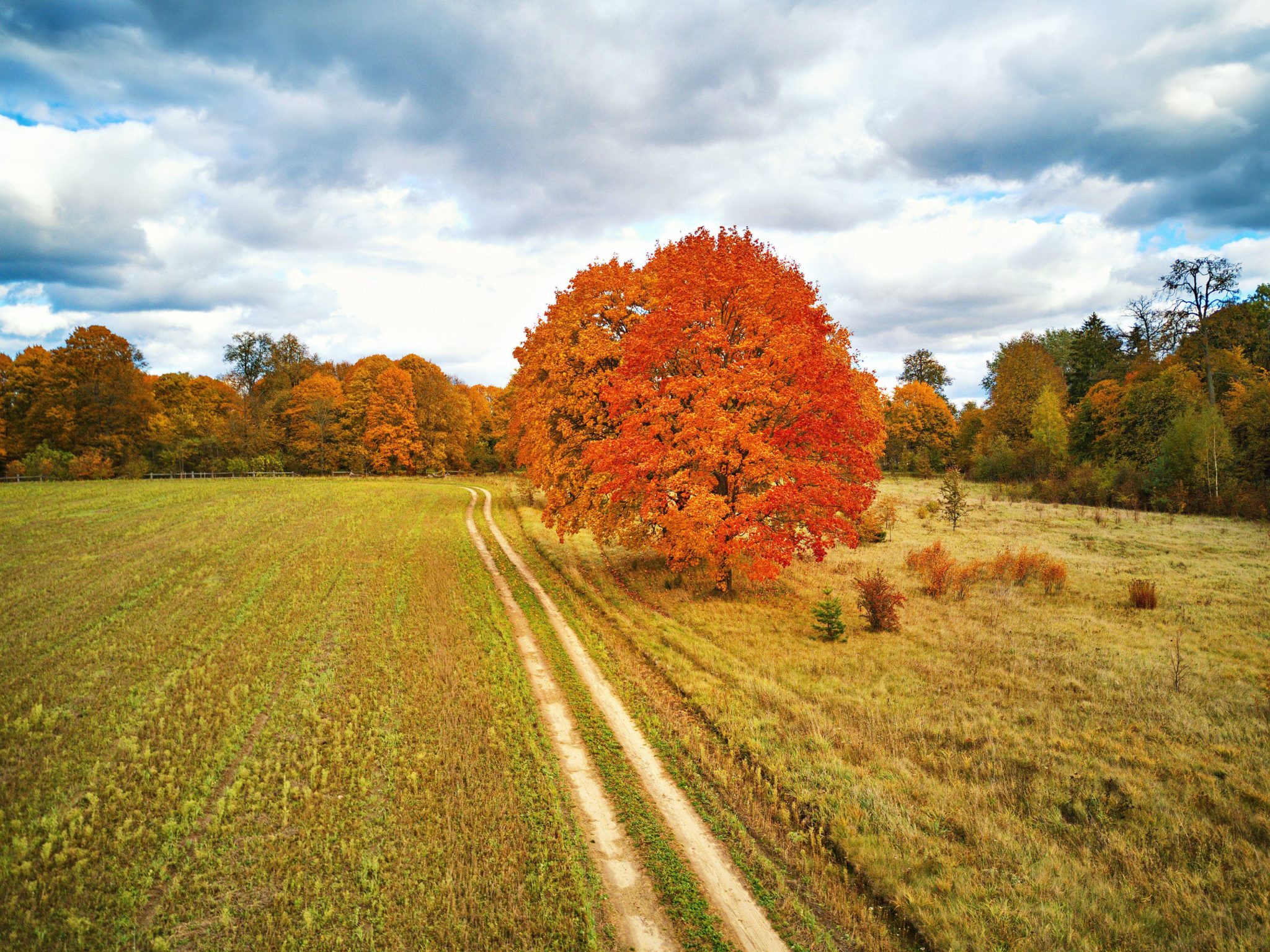 Autumn rural scene, Belarus – The Tribune